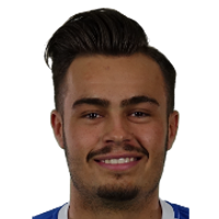 Linus Skarin Transfer History with all Clubs, Completed Moves & Fees