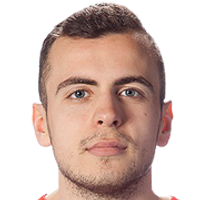 Sebastian Ludzik Transfer History with all Clubs, Completed Moves & Fees