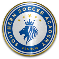 Southern Soccer Academy Kings Squad Stats, Transfer Values (ETV ...