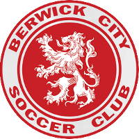 Berwick City Squad Stats, Transfer Values (ETV) & Contract Details