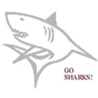 HS St Francis Catholic Sharks Squad Stats, Transfer Values (ETV ...