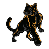 Adelphi Panthers Squad Stats, Transfer Values (ETV) & Contract Details