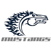 USW Mustangs Squad Stats, Transfer Values (ETV) & Contract Details