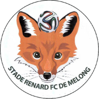 Stade Renard Squad Stats, Transfer Values (ETV) & Contract Details