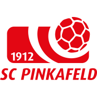 Pinkafeld Squad Stats, Transfer Values (ETV) & Contract Details